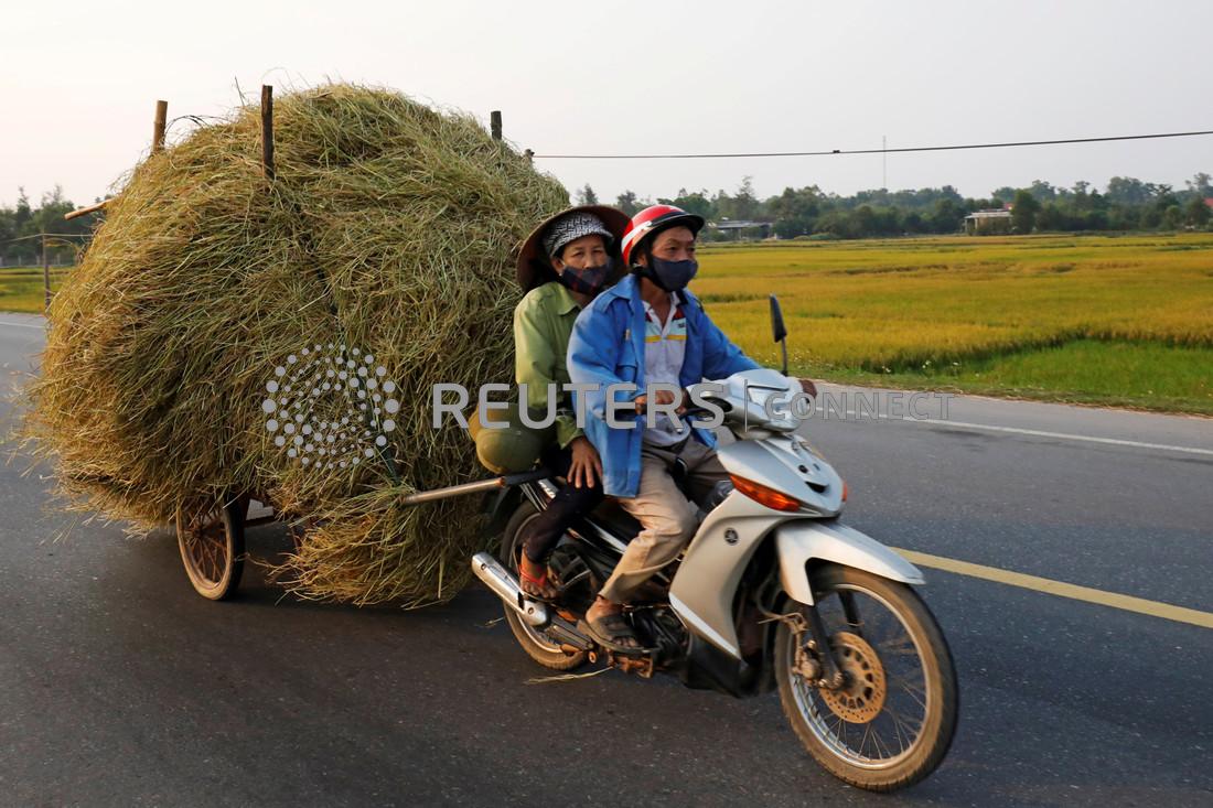 Vietnam calls for domestic food security after India's rice export ban ...