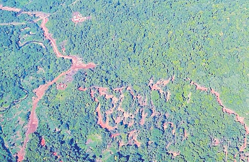 The cost of logging - The Fiji Times