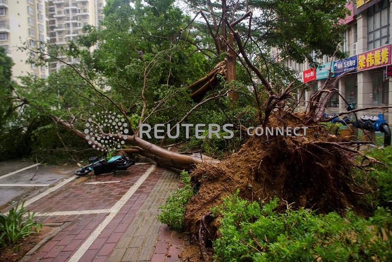 China's July economic losses from disasters exceed January-June - The ...