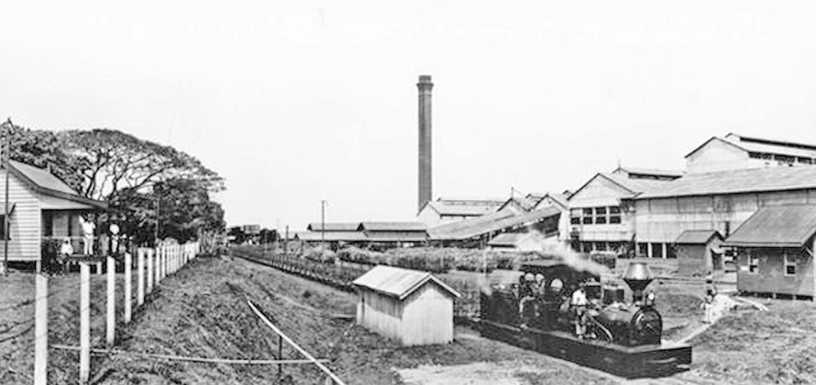 Forging Fiji’s sweet success | The struggle, triumph of the early sugar ...