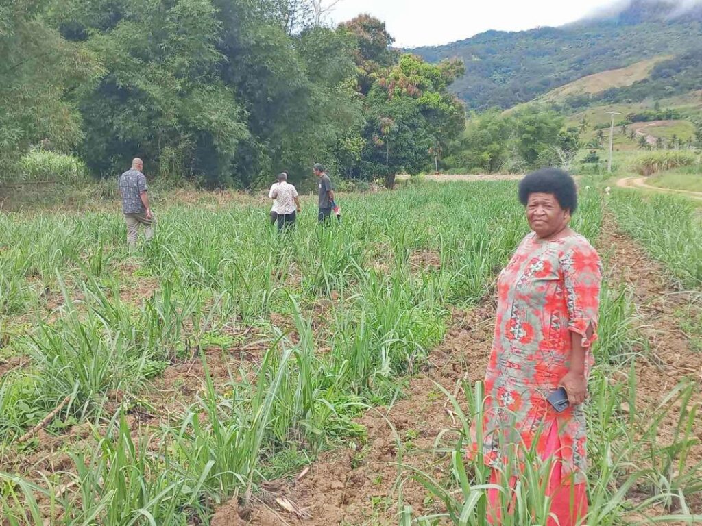 Macuata cane farmer joins FSC Board - The Fiji Times