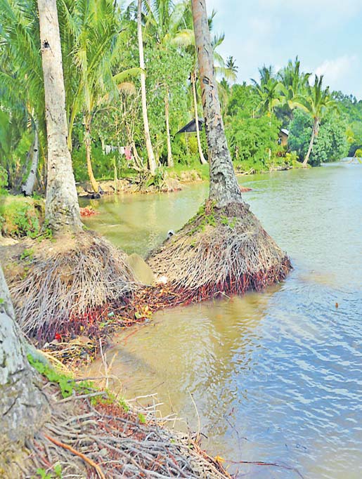 ‘No information on ministries’ specific roles’ - The Fiji Times