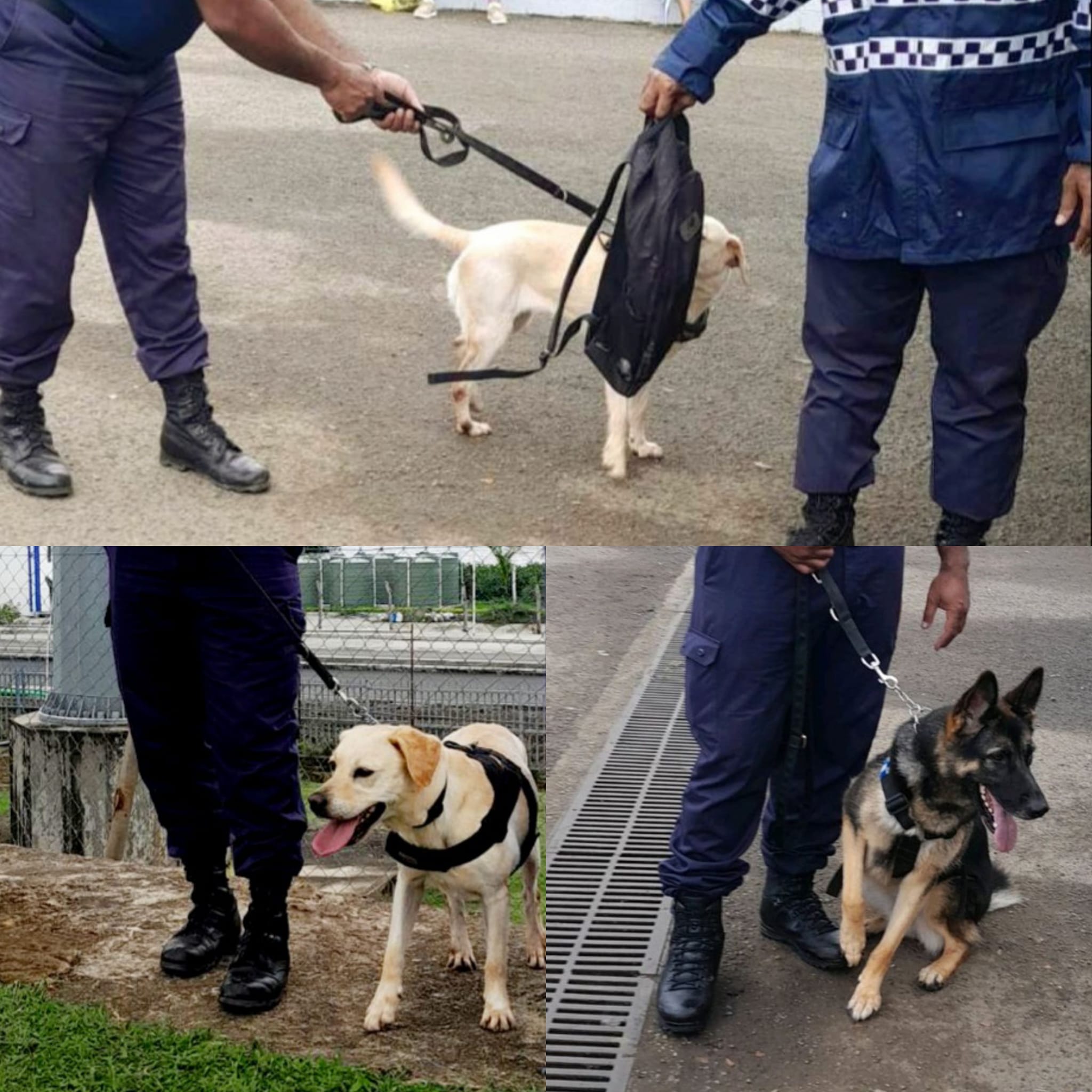 Police seize 'ice' joint operation - The Fiji Times