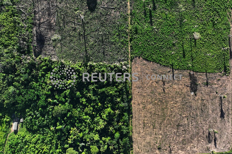 Human activity jeopardising Earth's life-support systems -study - The ...