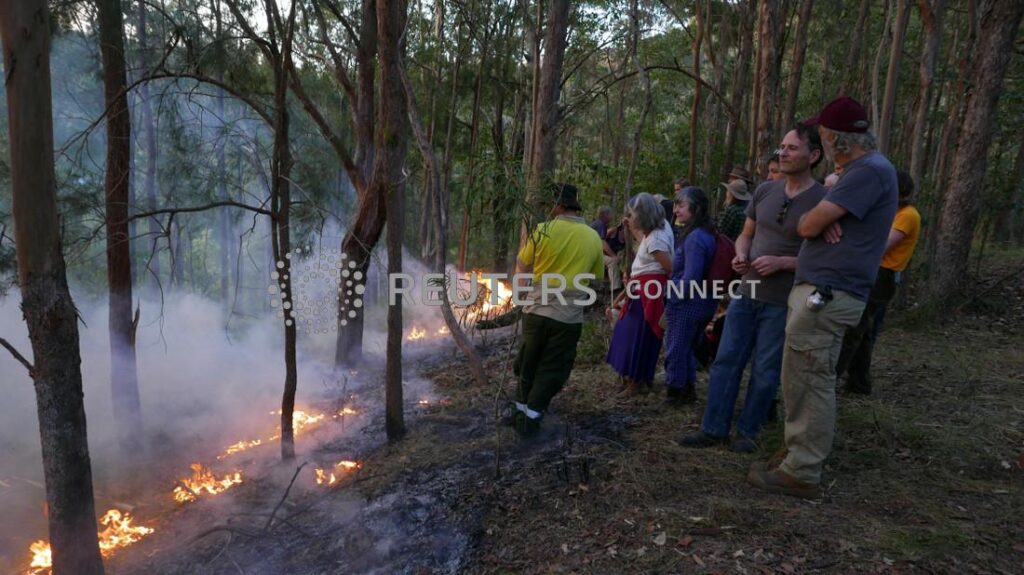 As Australia braces for bushfire season, Indigenous 'cultural burning ...