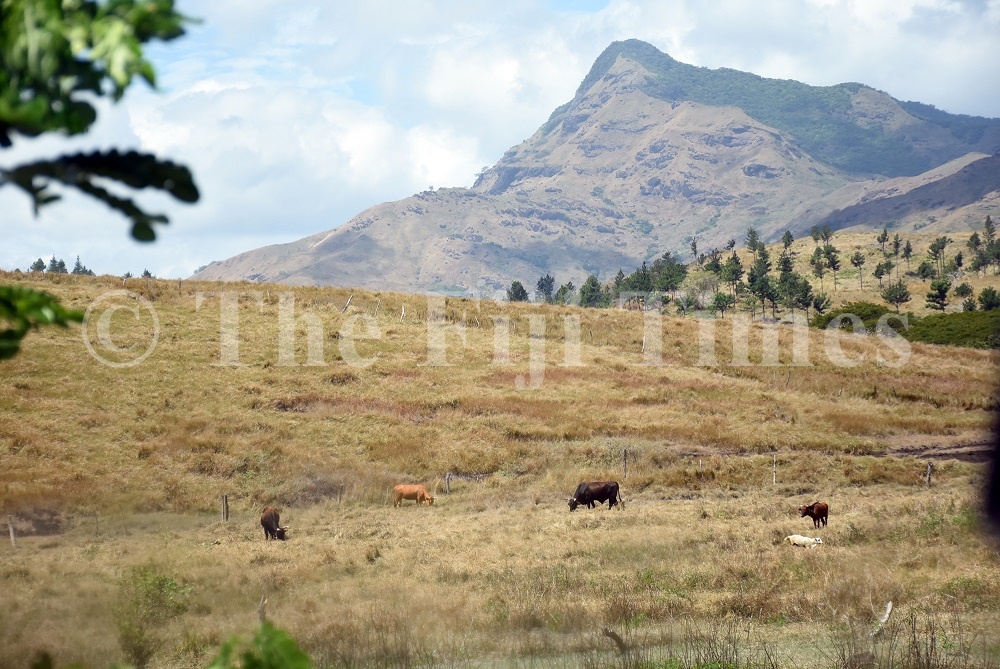 Met office forecasts below normal rainfall across cane belt areas - The ...