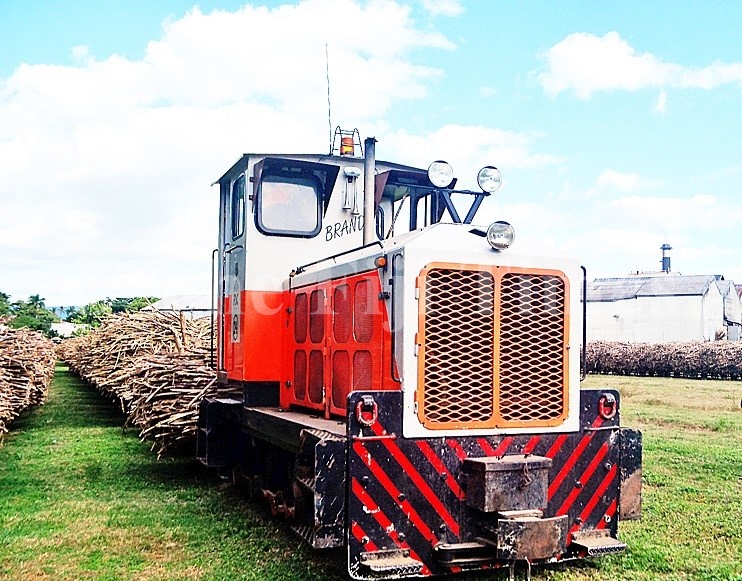 Tragedy on the tracks | Locomotive horror leaves pointsman in critical ...