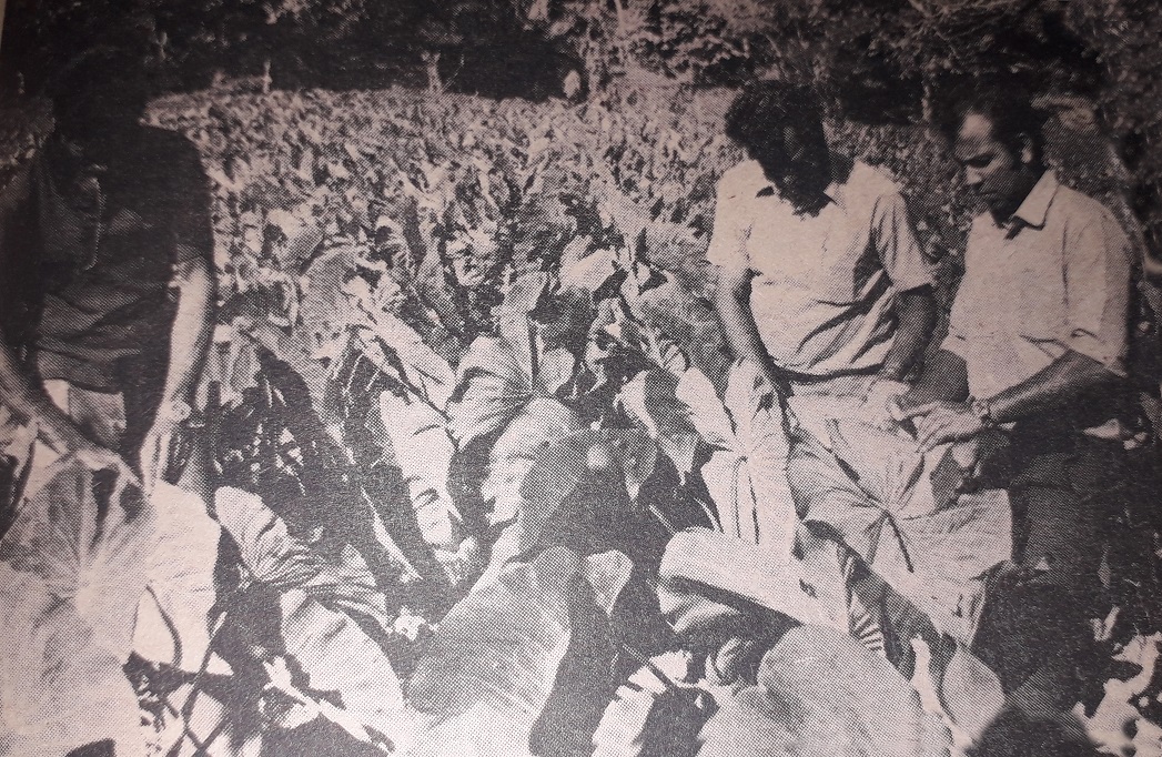 Back in history | Man defies all odds, plants dalo - The Fiji Times