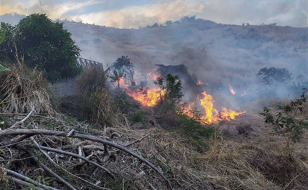 Ministry cautions public on forest fires - The Fiji Times