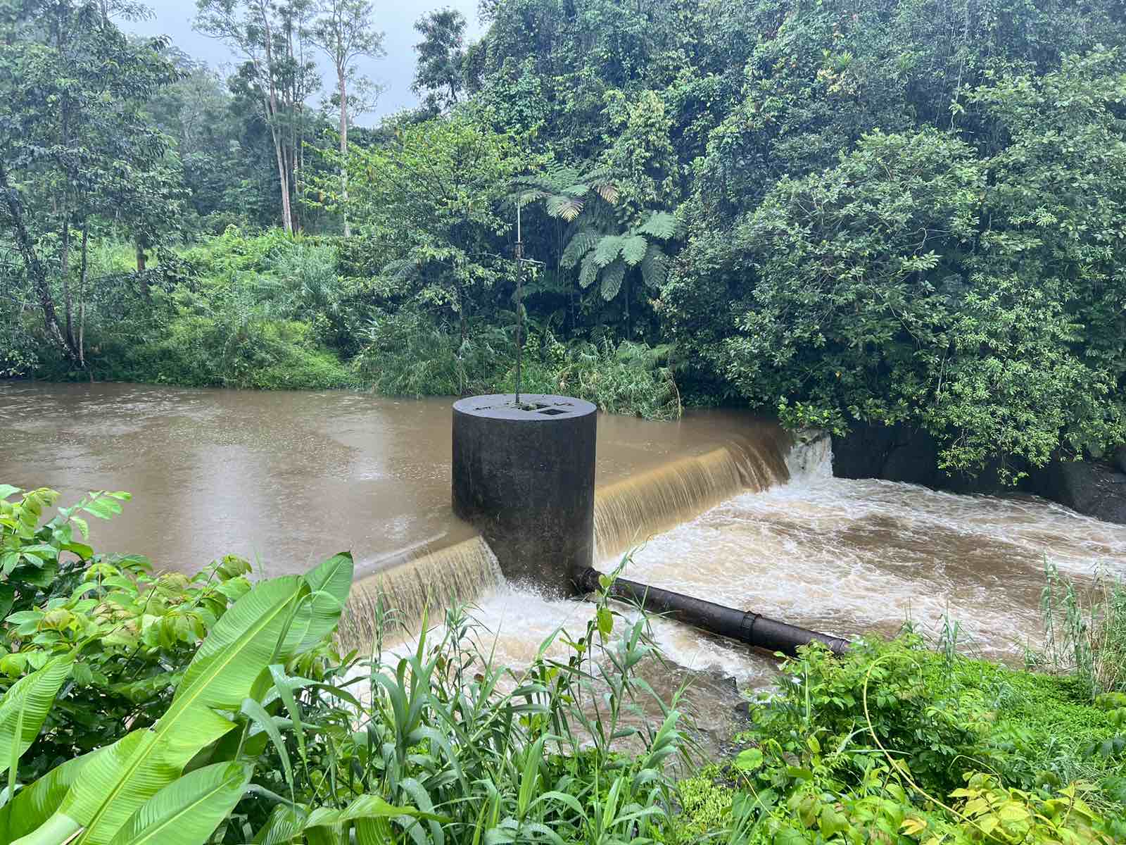 WAF clarifies supply issues - The Fiji Times