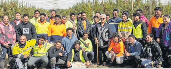 OPINION | Samoa’s shifting seasonal work priorities - The Fiji Times