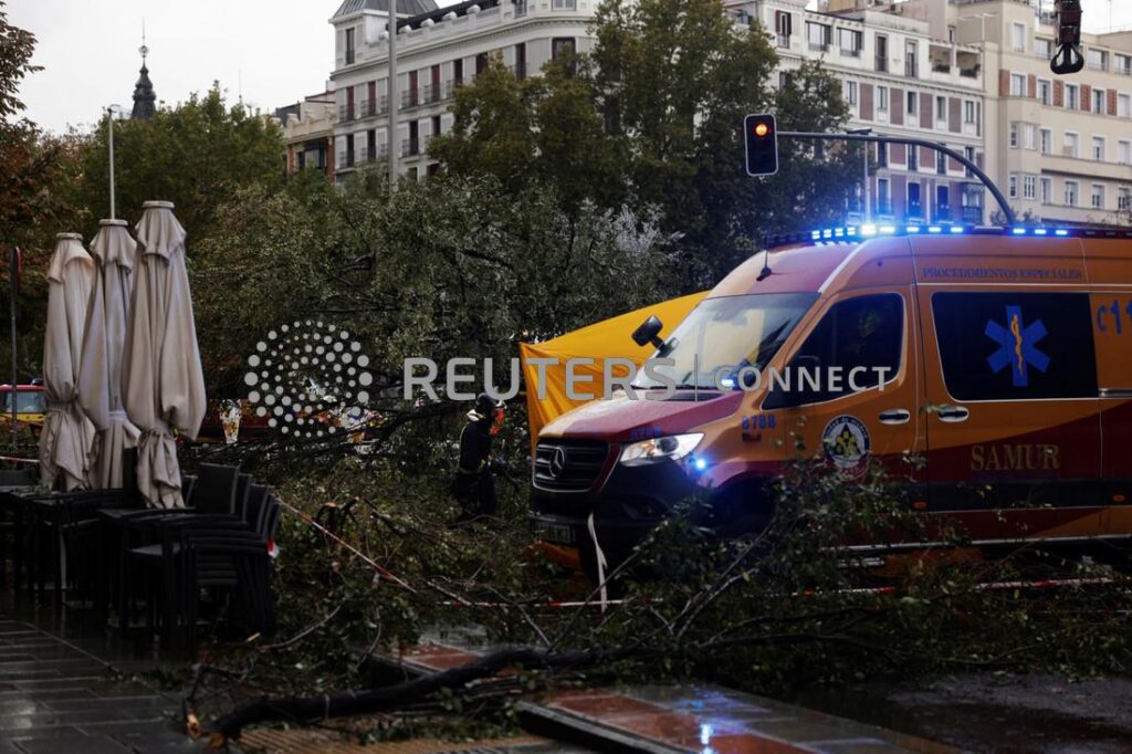 Storm Ciaran kills six, lashes Europe with strong winds and rain - The ...
