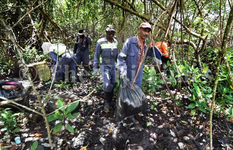 Council backs move - The Fiji Times