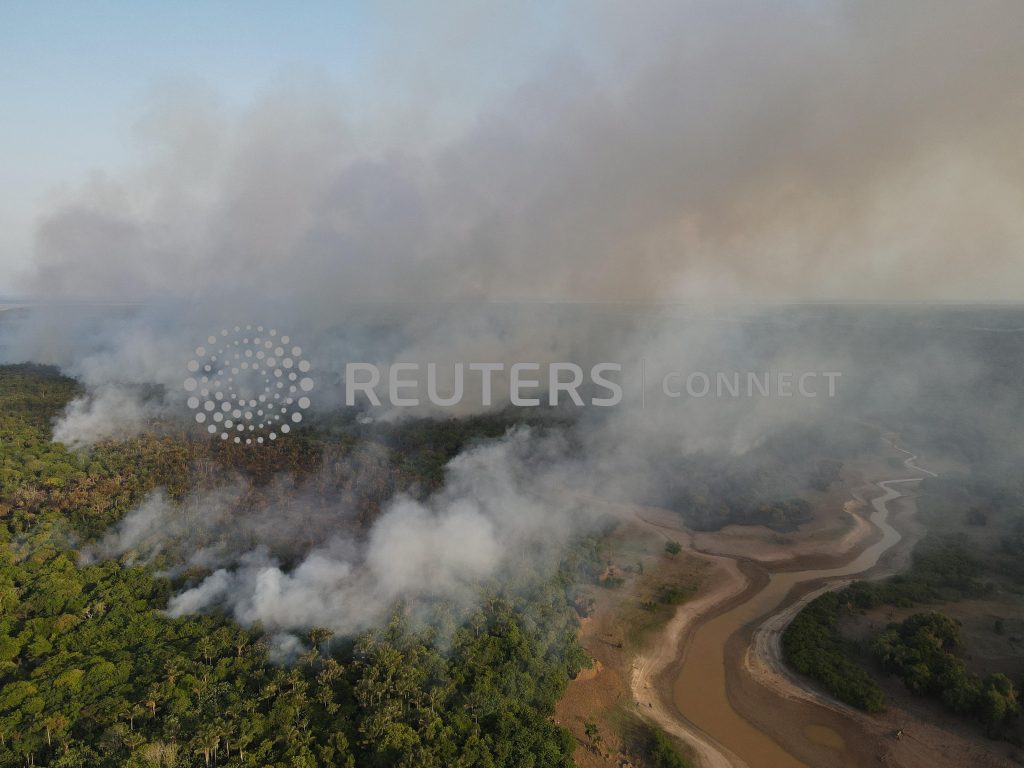 Brazil launches $204 million drive to restore Amazon rainforest - The ...