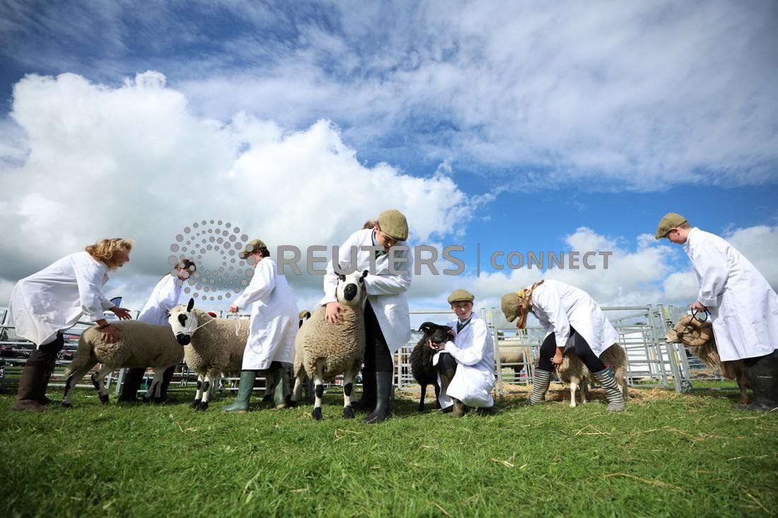 Urban school farm opens world of opportunity to British teens - The ...