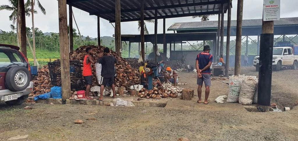 Copra trade ‘dying’ - The Fiji Times