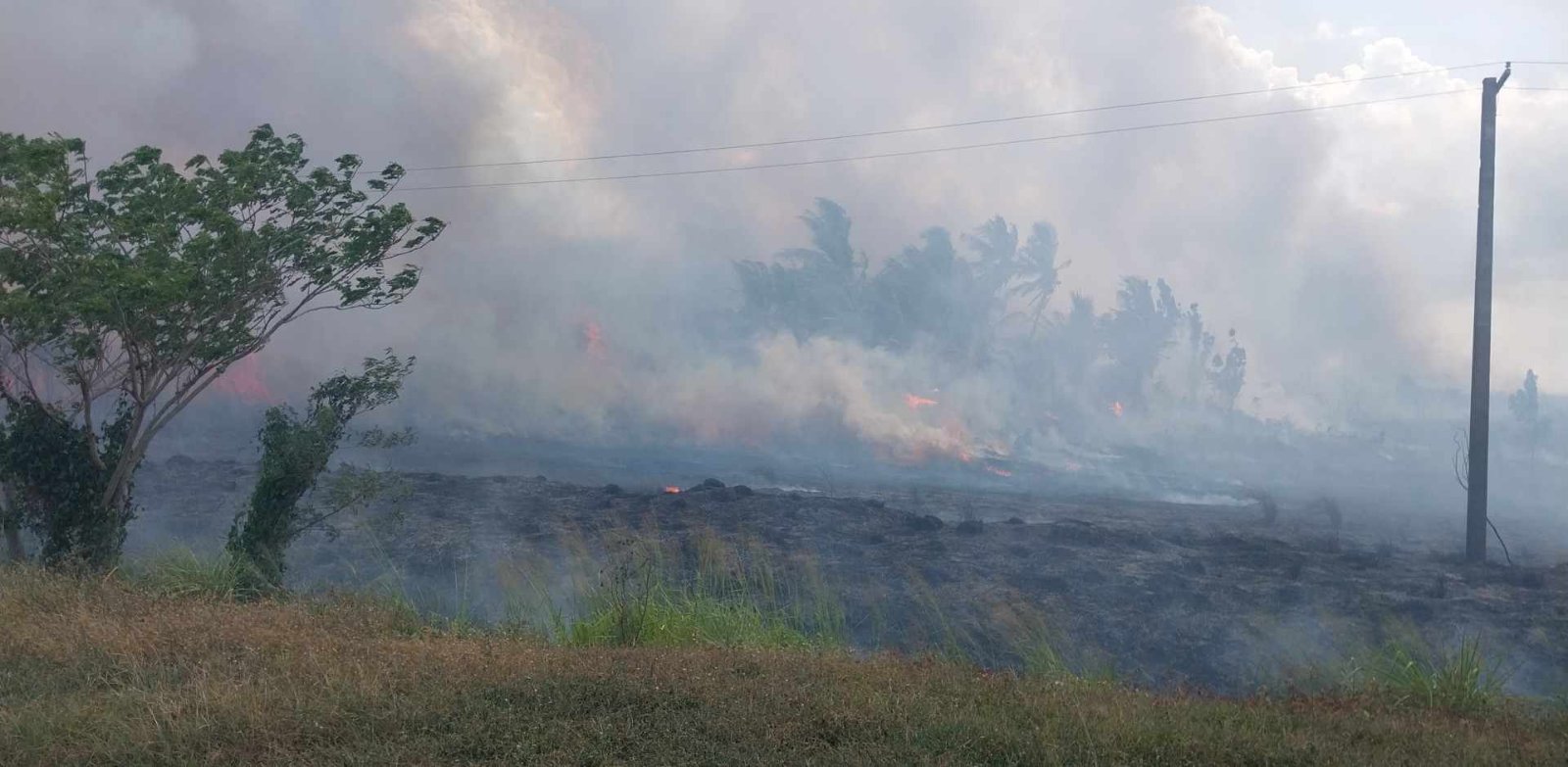 Firefighters save homes and supermarket - The Fiji Times