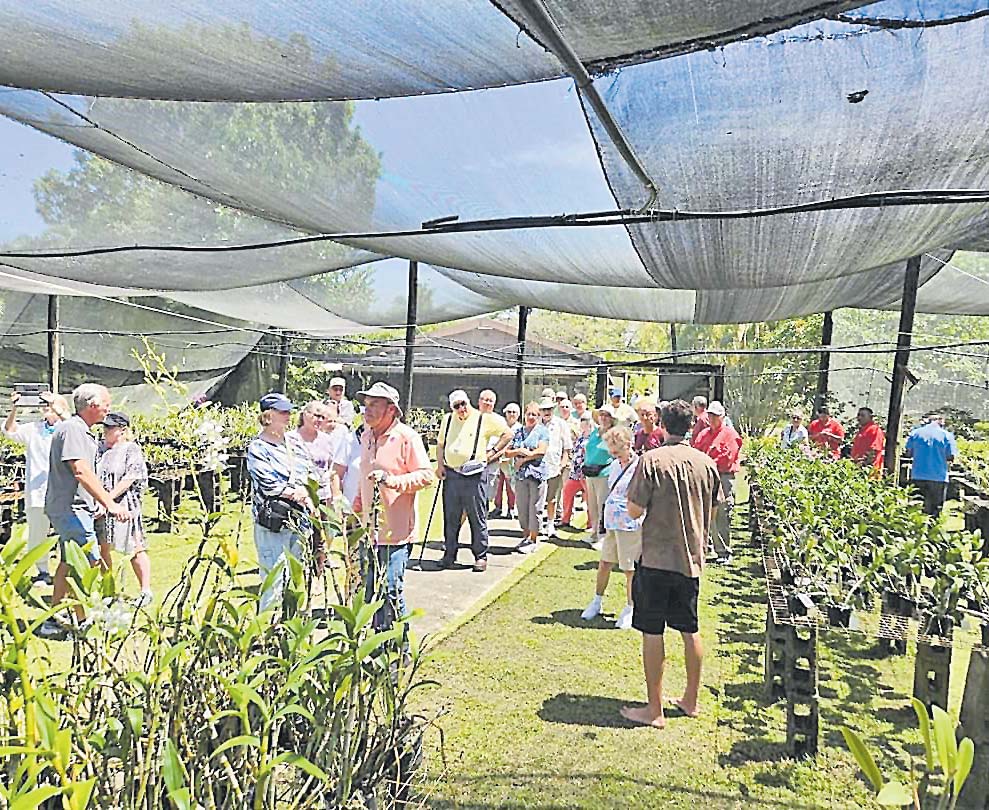 Incredible year for floriculture business - The Fiji Times
