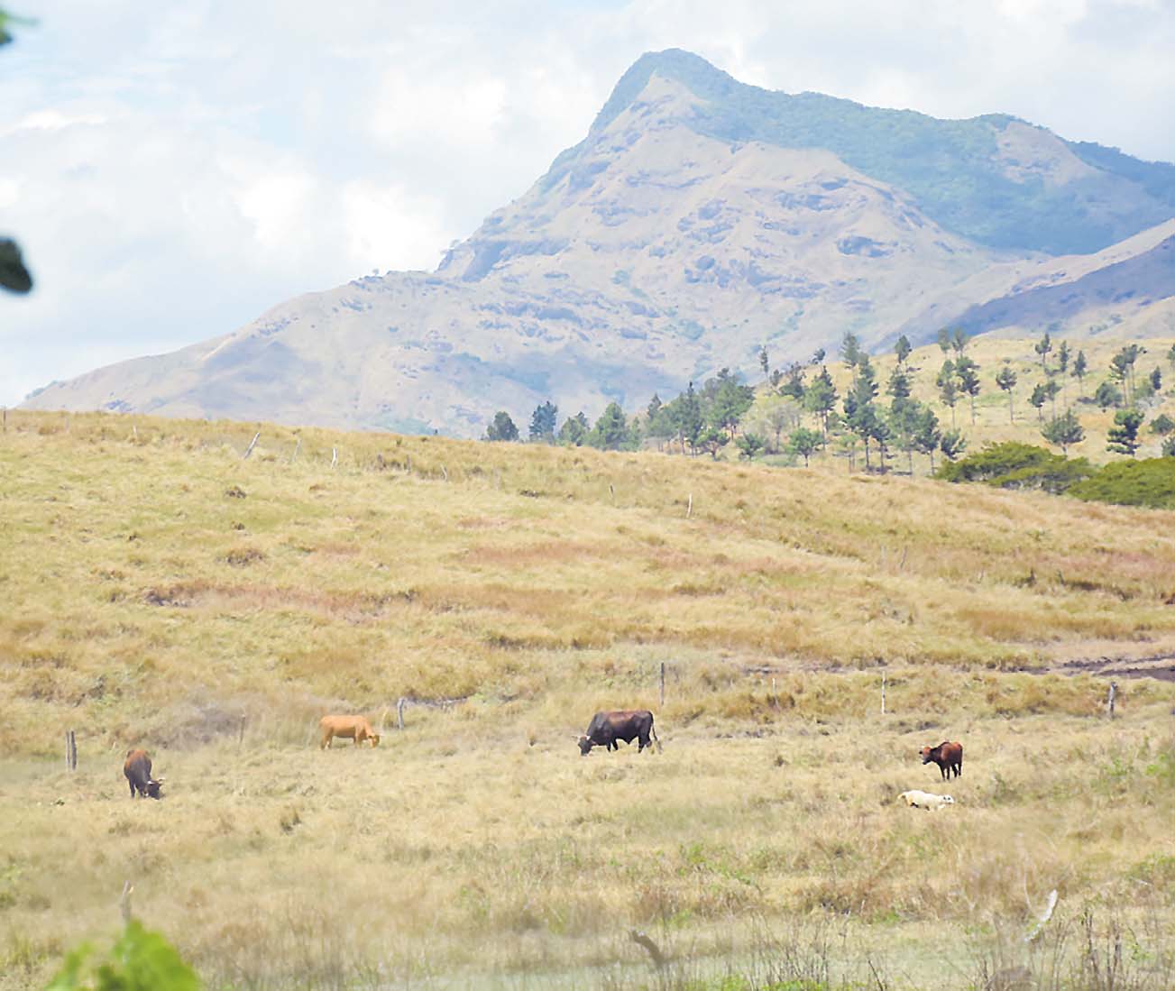 Met office predicts very dry weather - The Fiji Times