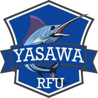 Yasawa lifts tempo - The Fiji Times