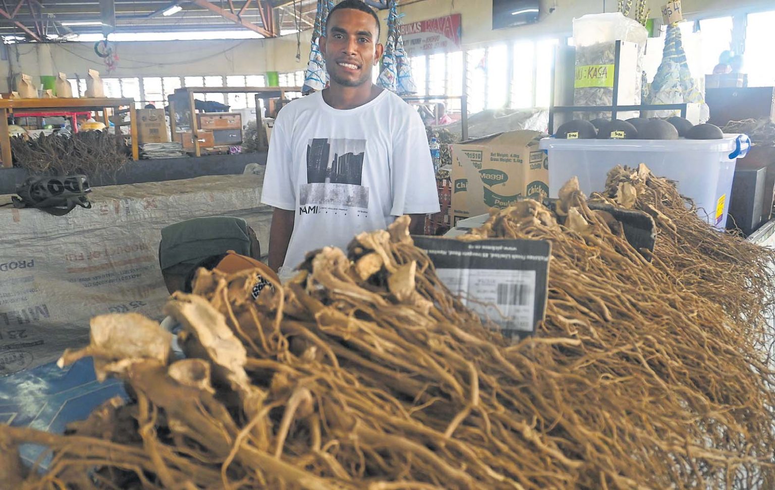 Spotlight | Part 2 - Growing Fiji’s kava industry - The Fiji Times