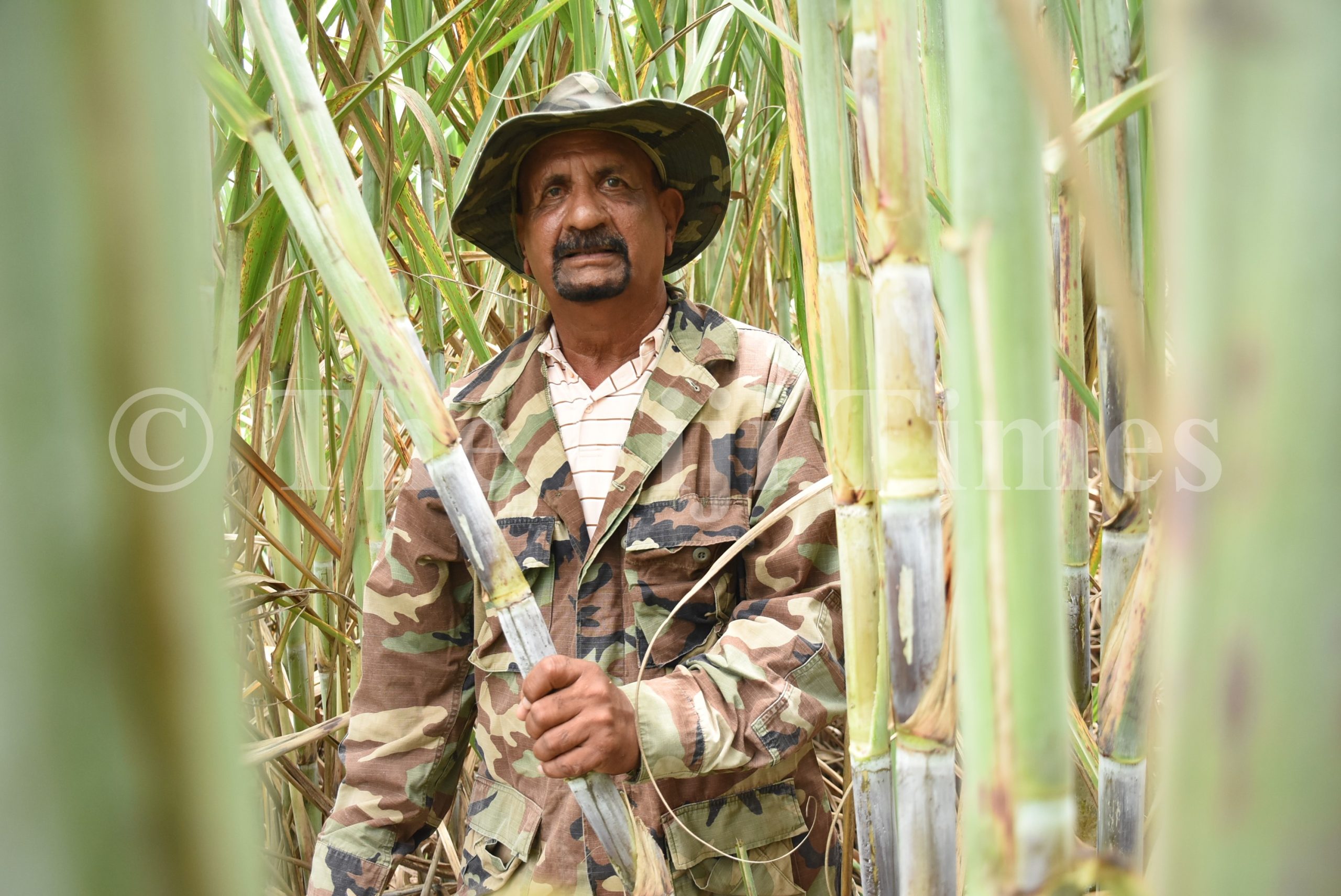 Singh breaks silence | FSC board meetings were 'only talk and no action ...