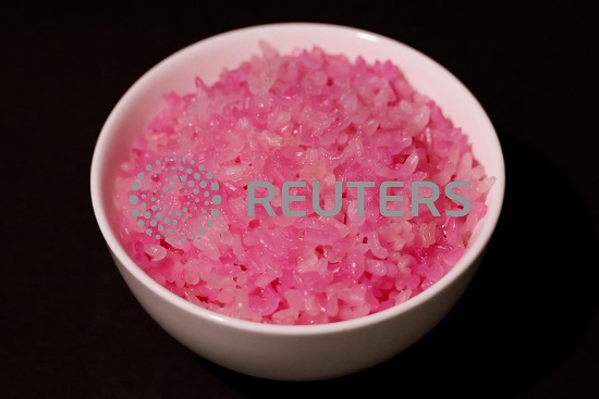 South Korea scientists tout 'beef rice' as source of protein for the ...