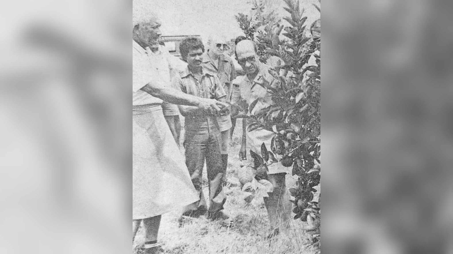 Look Back | Batiri citrus juice flows - The Fiji Times