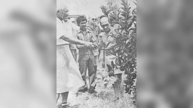 Look Back | Batiri citrus juice flows - The Fiji Times