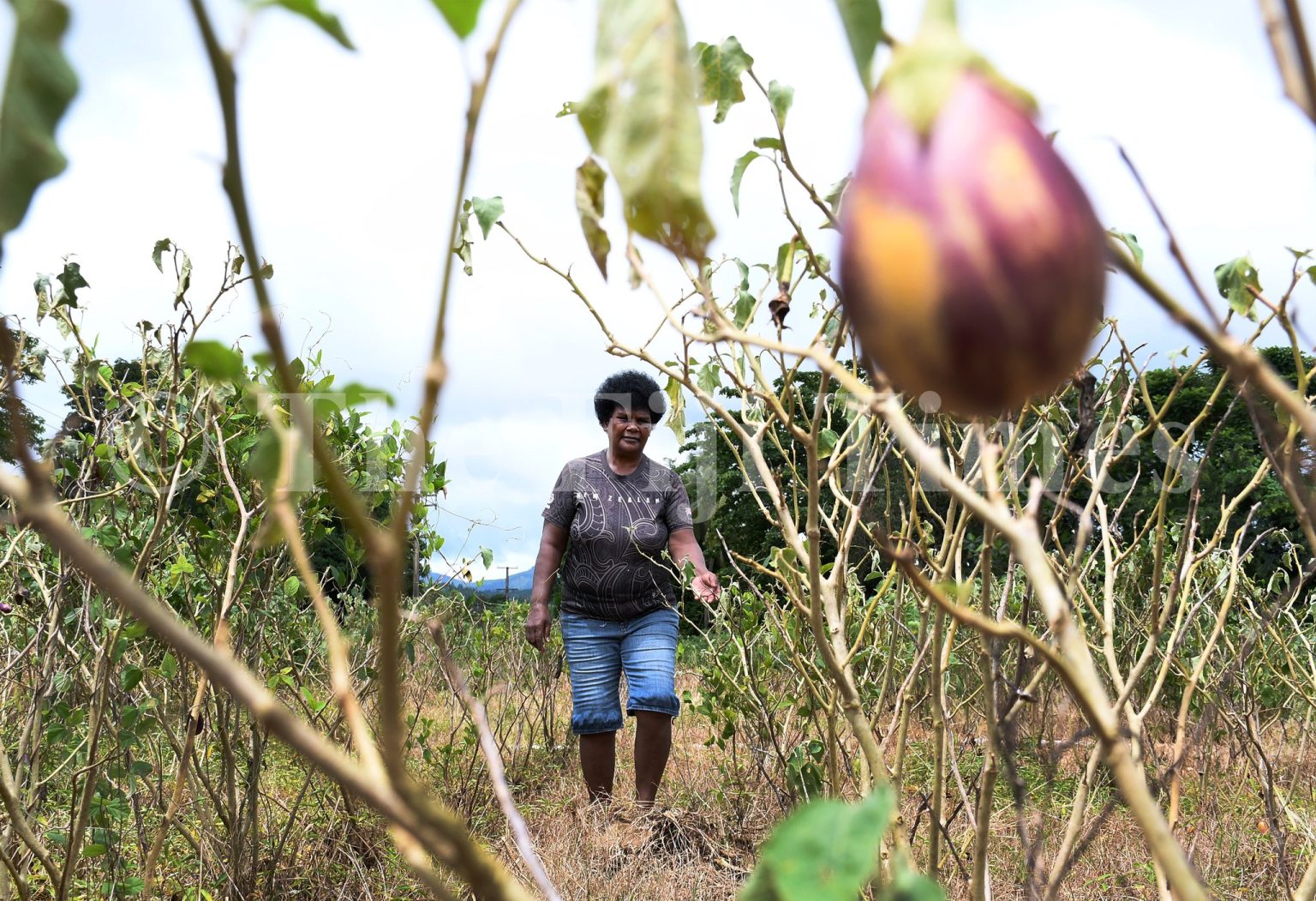 Letters to the Editor | Monday, March 25, 2024 - The Fiji Times