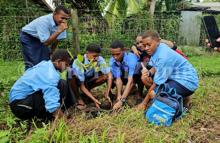 Forests under threat - The Fiji Times