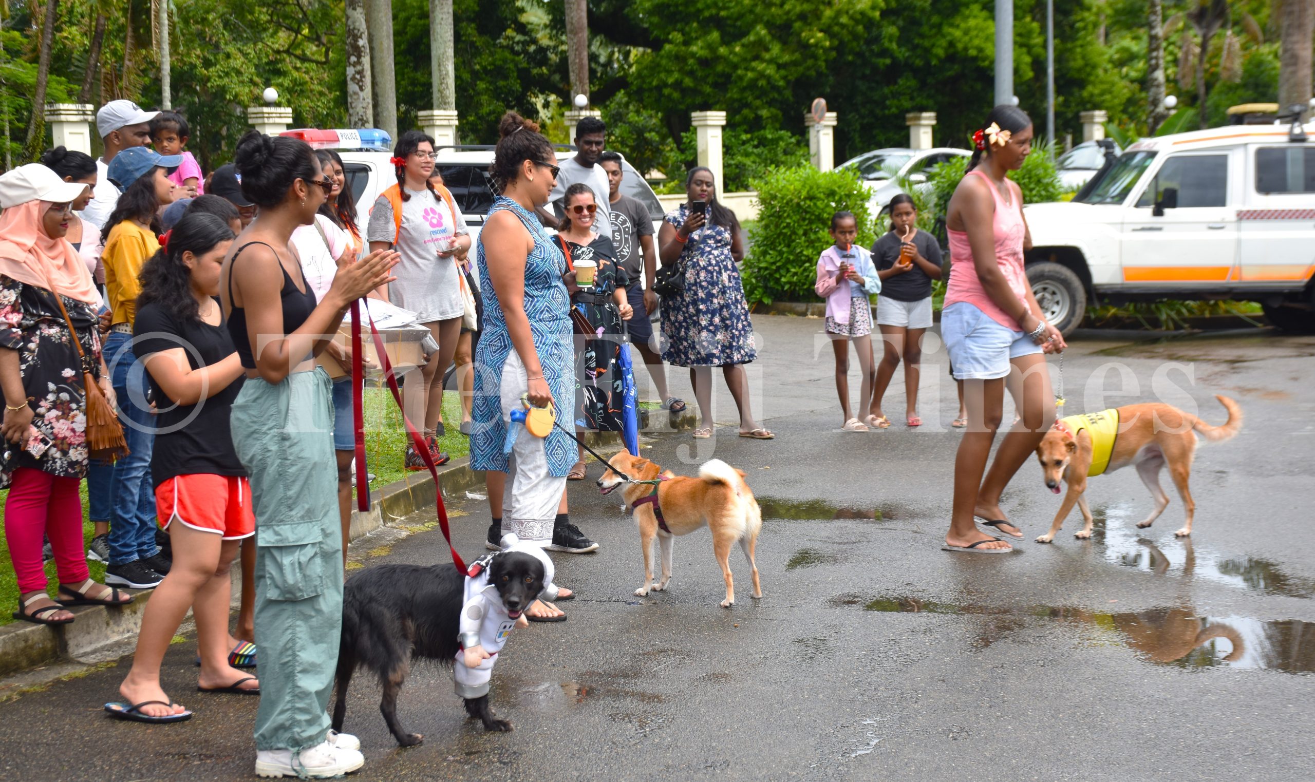 1000 paws walk - The Fiji Times