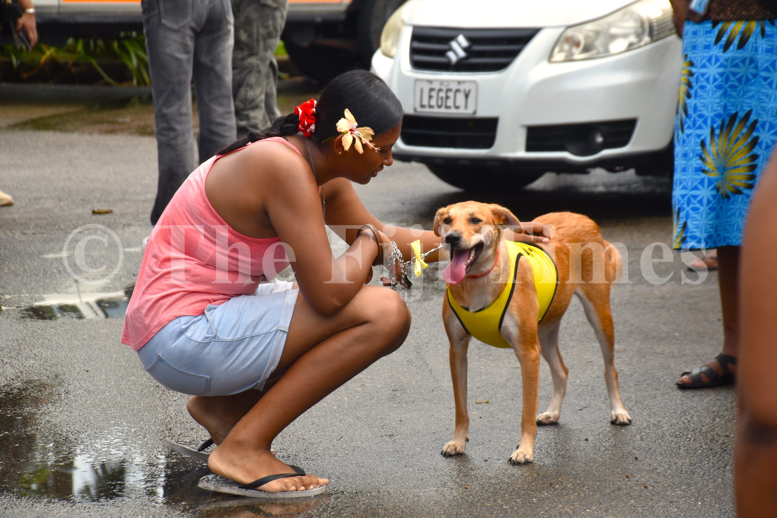 Tim Howick-Smith 1000 Paws Walk – The Fiji Times