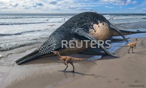 Gigantic marine reptile's fossils found by British girl and father ...