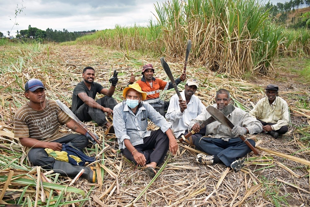 Three years of grace period for cane farmers - The Fiji Times