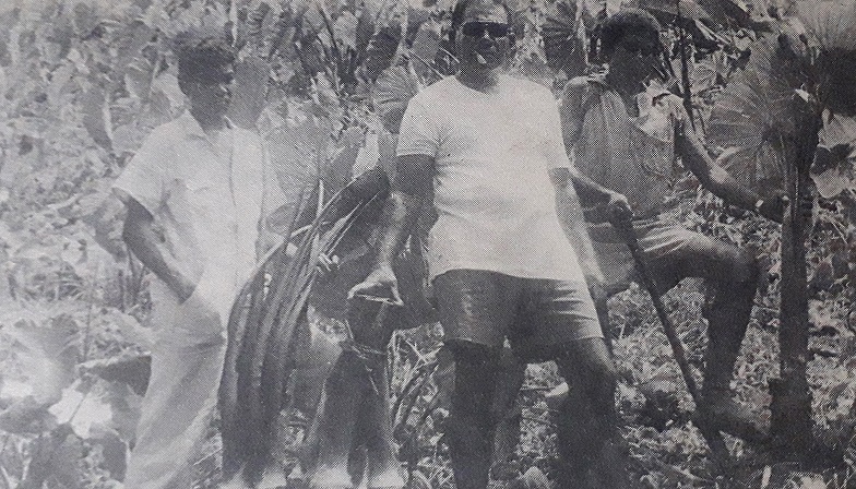 Back in History | Kadavu farmers anticipate bountiful harvest - The ...