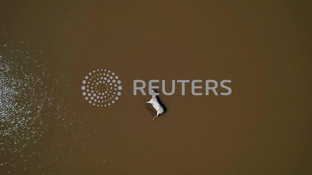 Distraught farmer in flood-hit Brazil mourns the loss of animals ...