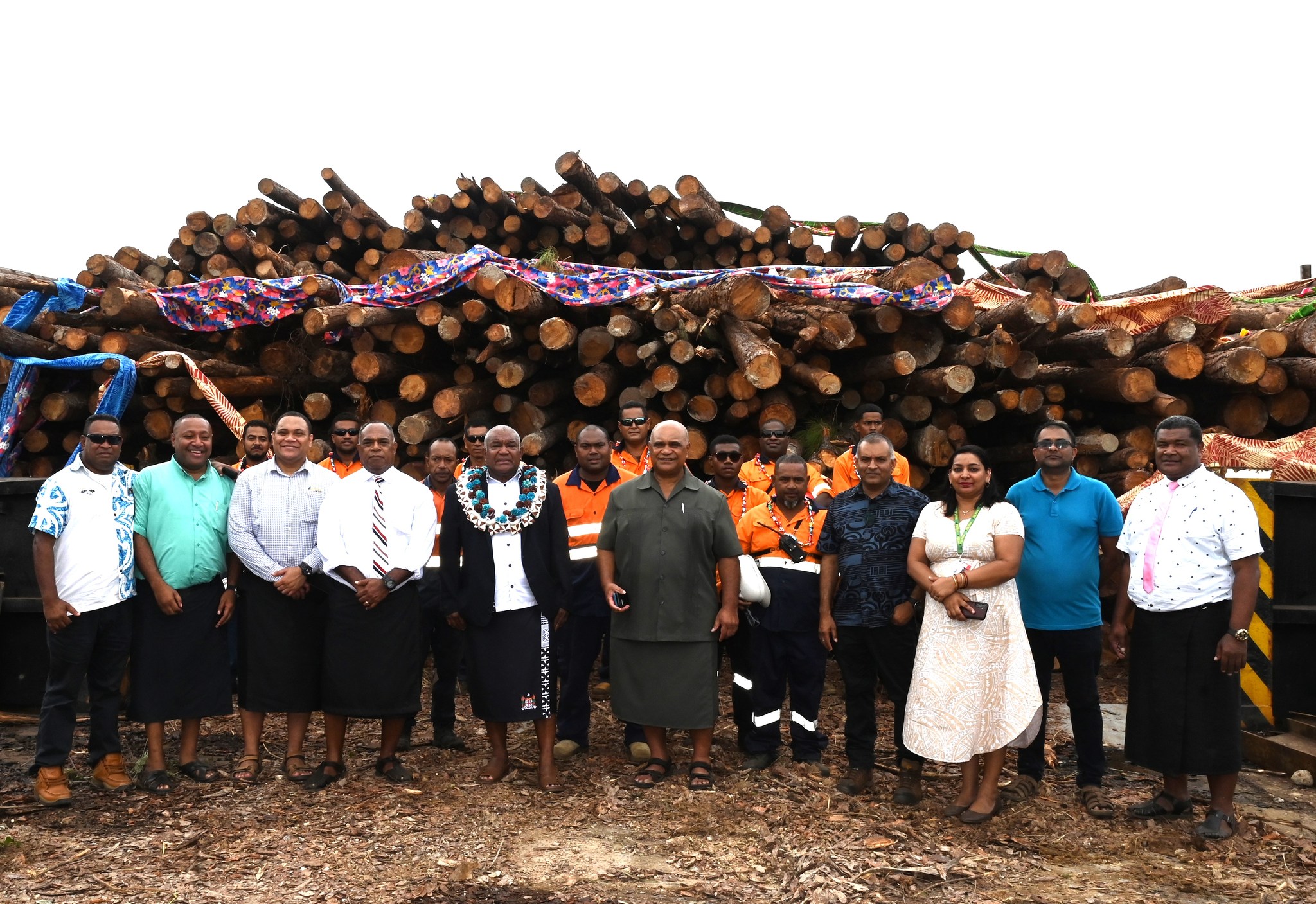 First batch of harvested pine arrives - The Fiji Times