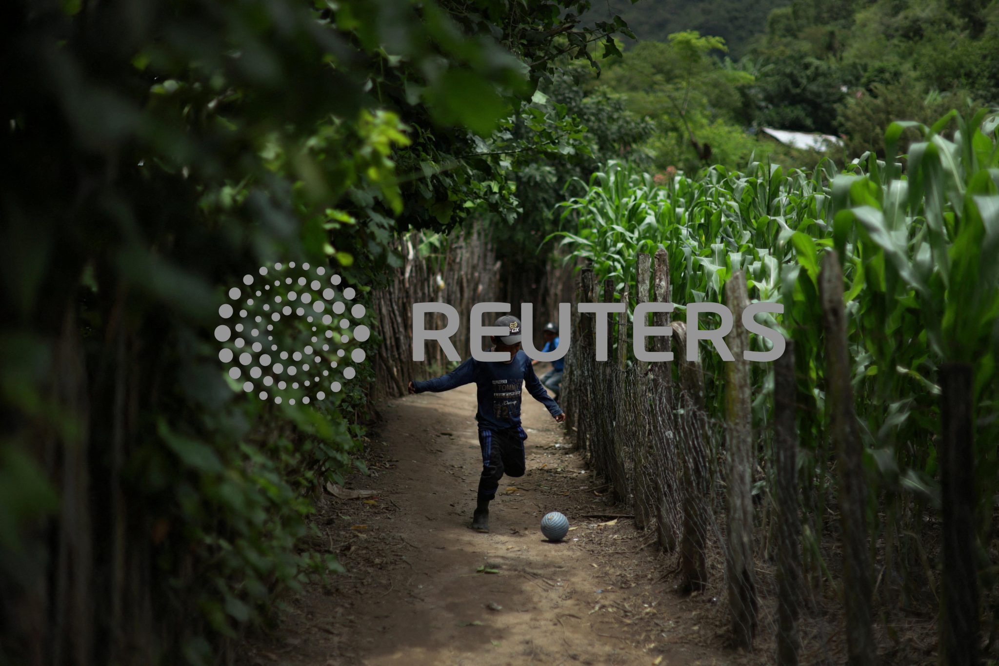 As drought breeds hunger in Guatemala, farming program aims to help ...