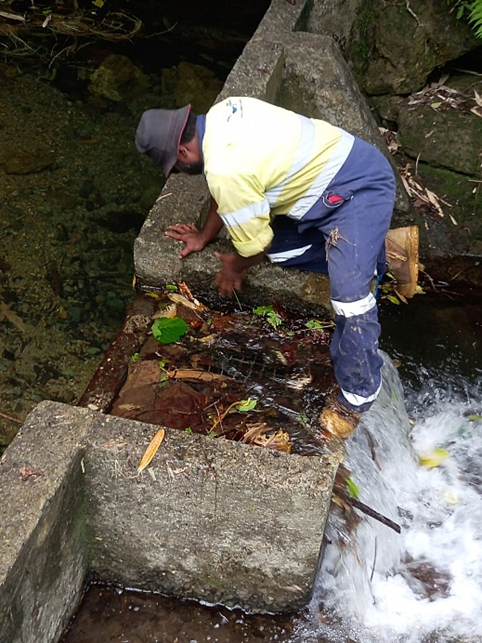Water sources at critical level – WAF - The Fiji Times