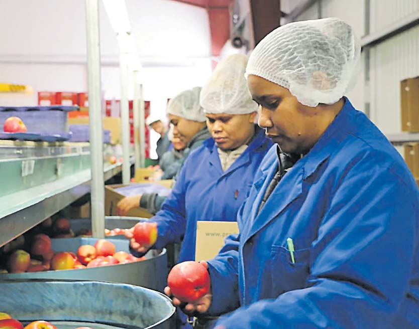 Huge shift in gender roles - The Fiji Times