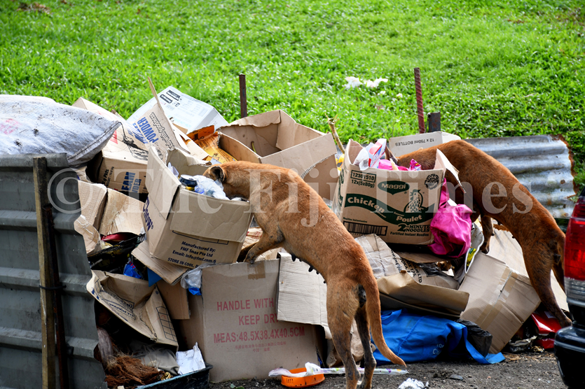 PM calls for review of outdated Litter Act