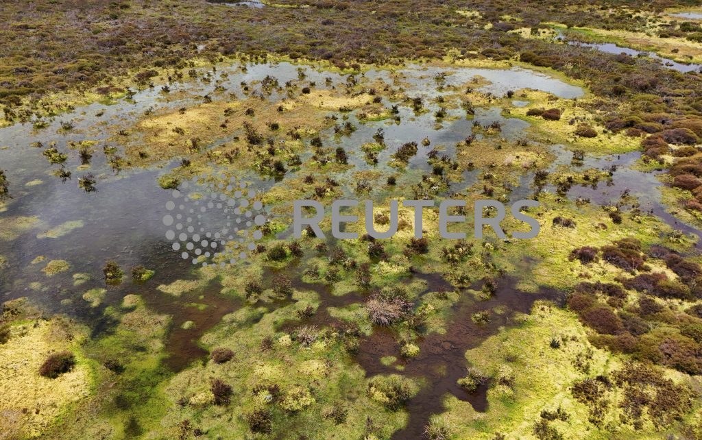 Colombia and Ecuador fight to save vital wetlands amid drought - The ...