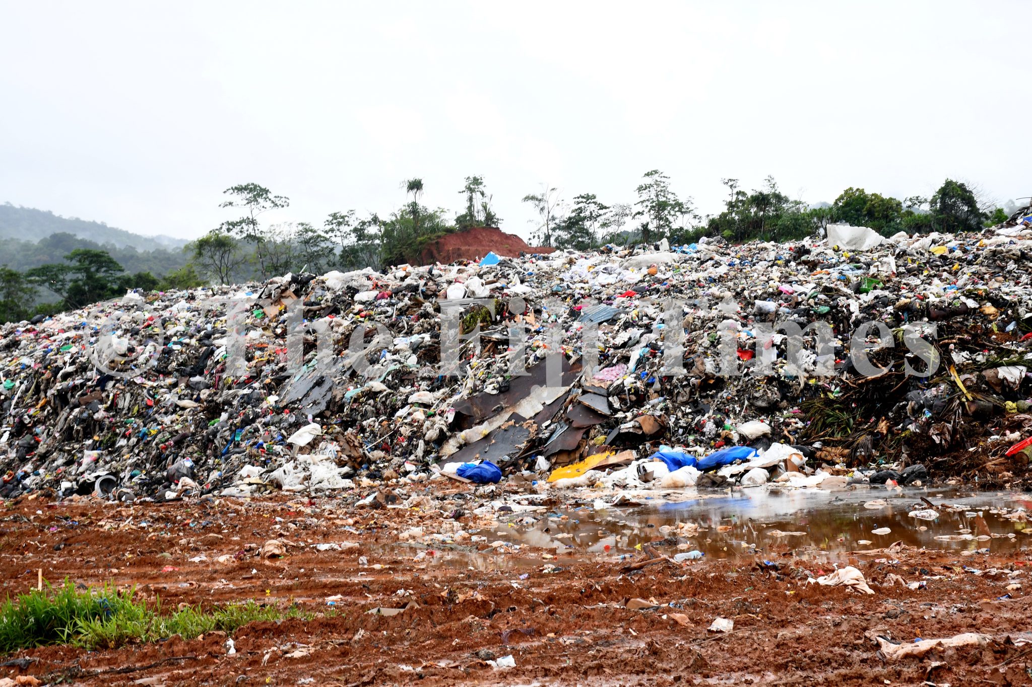Stench affects lives - The Fiji Times