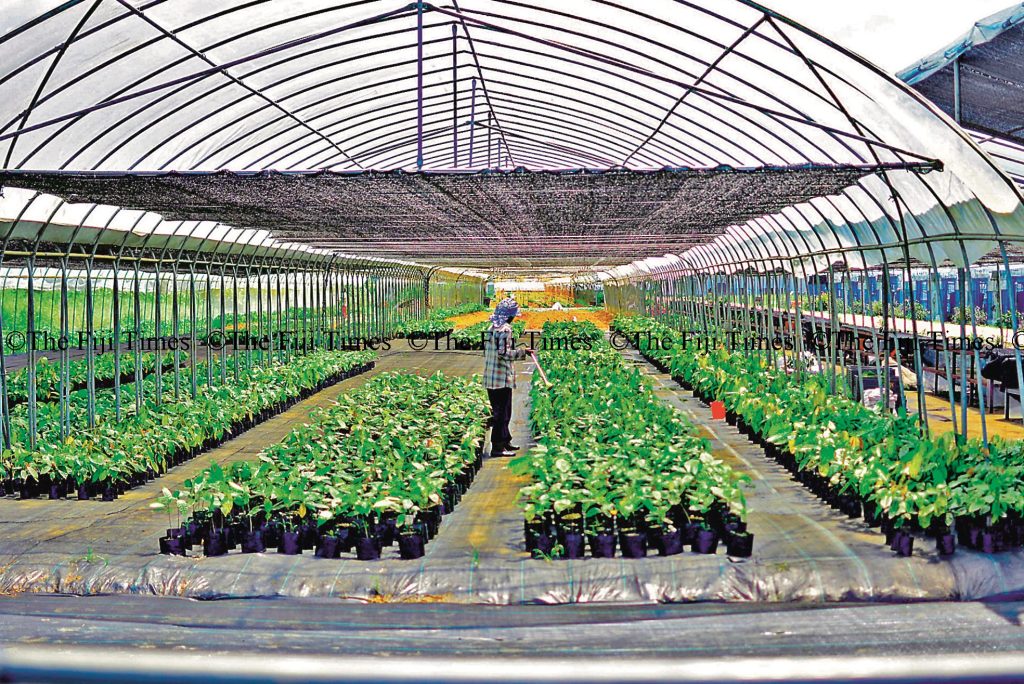 GRG freezes projects amid claims - The Fiji Times