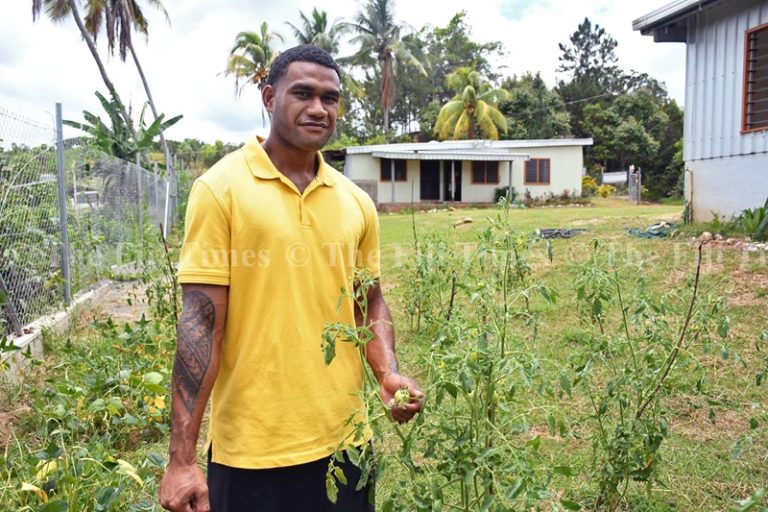 Letters to the Editor | Monday, November 18, 2024