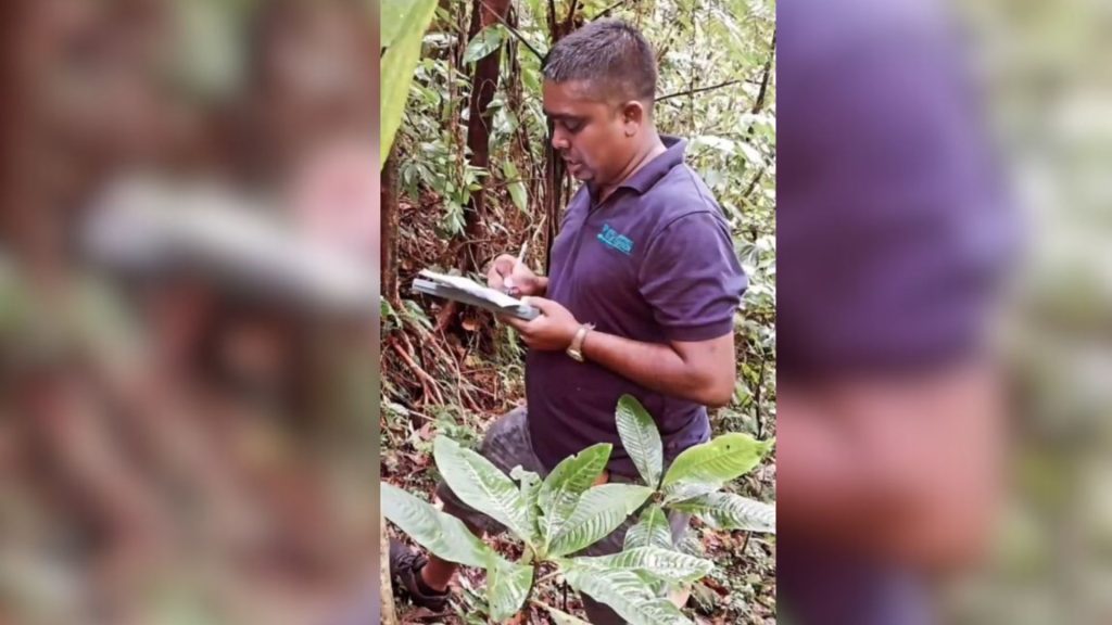 People | 'Please love your trees' - The Fiji Times