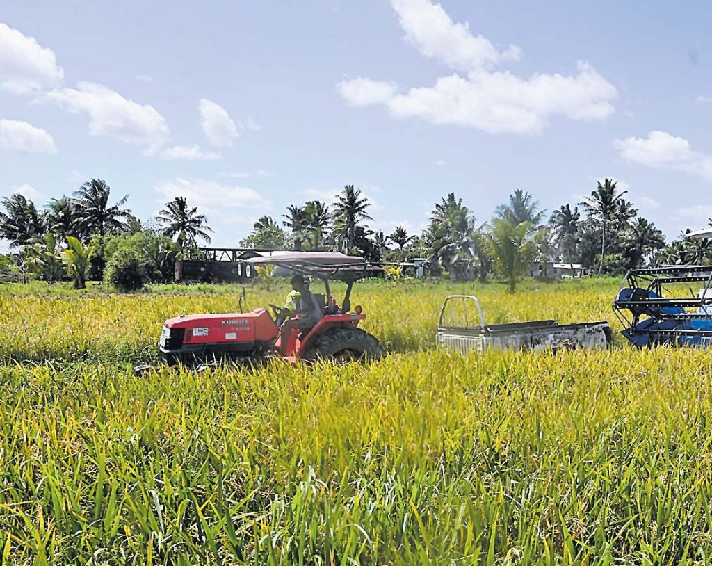 MOU to enhance local rice farming - The Fiji Times