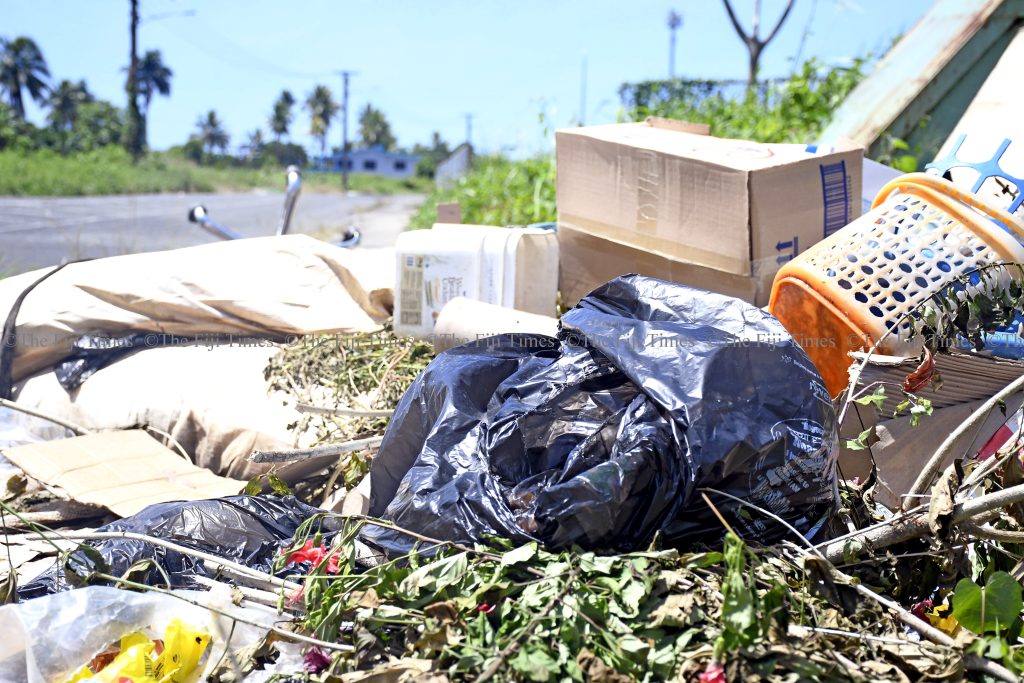 Microplastics found in 'kai' – study - The Fiji Times