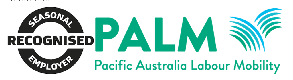 Hang onto your applications for PALM & RSE work schemes - The Fiji Times